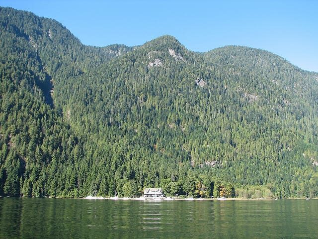 Vancouver: Lunch and Brunch Cruises - Practical Details: Timing, Meeting Point, and Flexibility