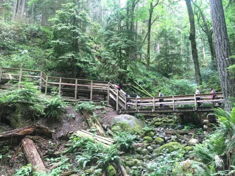 Vancouver: Lynn Canyon Park Hike & Pitt Meadows Bike Tour - Exploring the Forest and Waterfalls