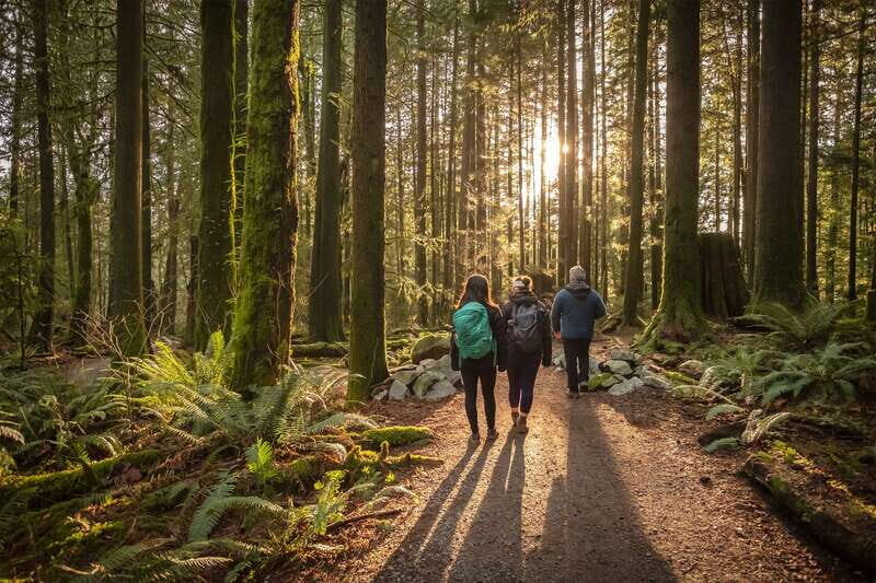 Vancouver: Lynn Valley Suspension Bridge & Nature Walk Tour - An Introduction to the Tour Experience
