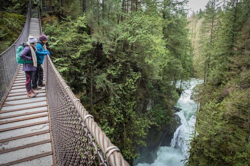 Vancouver: Lynn Valley Suspension Bridge & Nature Walk Tour - A Thorough Breakdown of the Itinerary