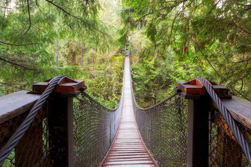 Vancouver: Lynn Valley Suspension Bridge & Nature Walk Tour - Final Thoughts