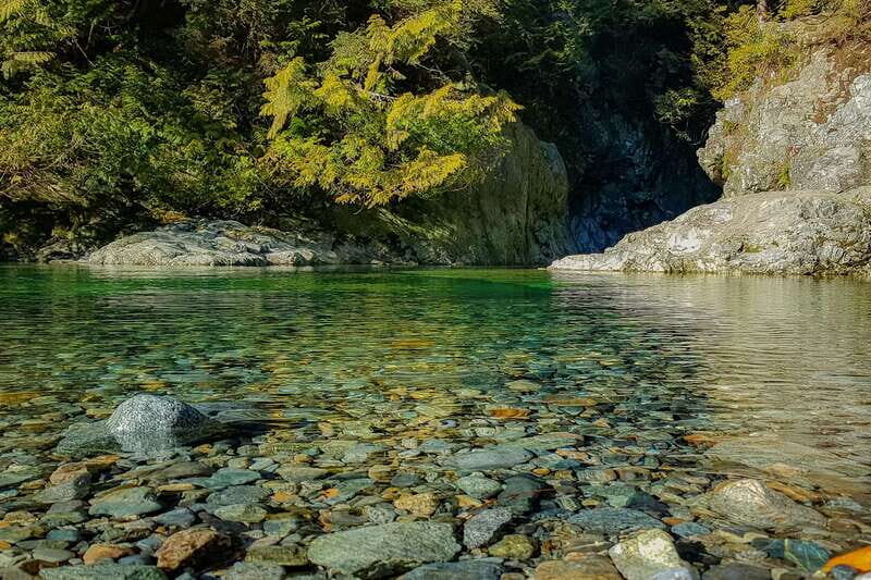 Vancouver: Lynn Valley Suspension Bridge & Nature Walk Tour - FAQ
