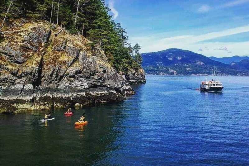 Vancouver: Morning Kayak & Seal Cruise - The Sum Up