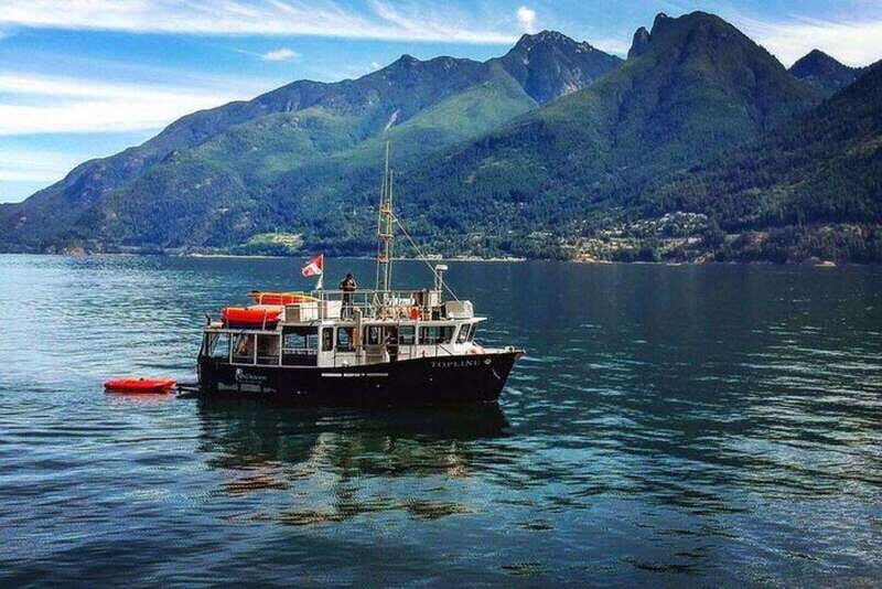 Vancouver: Morning Kayak & Seal Cruise - Why This Tour Stands Out