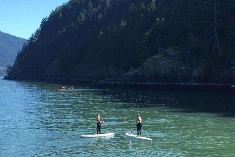 Vancouver: Morning Kayak & Seal Cruise - Final Thoughts: Is It Worth It?