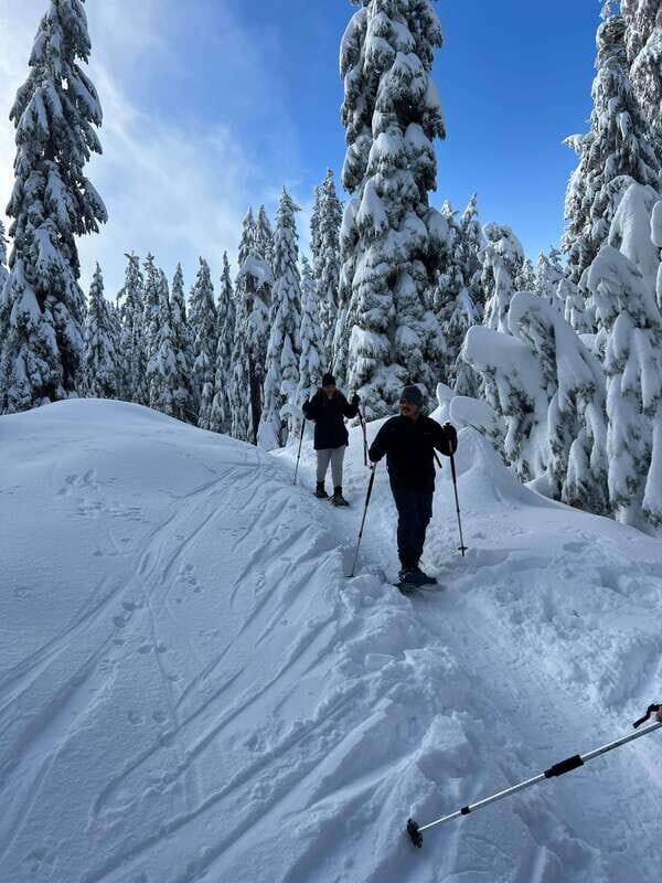 Vancouver: North Shore Mountains Snowshoeing with Transfer - Introduction