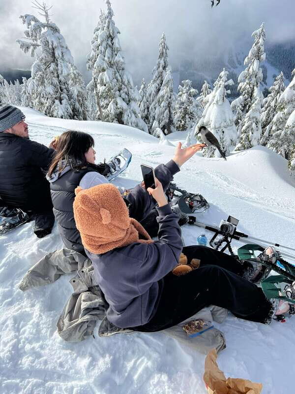 Vancouver: North Shore Mountains Snowshoeing with Transfer - What’s Included and What to Bring