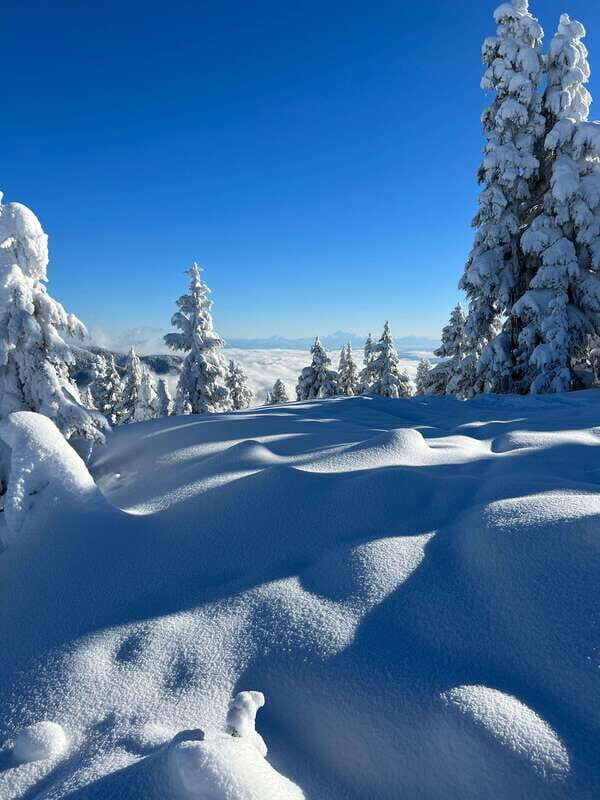 Vancouver: North Shore Mountains Snowshoeing with Transfer - Who Will Love This Tour?