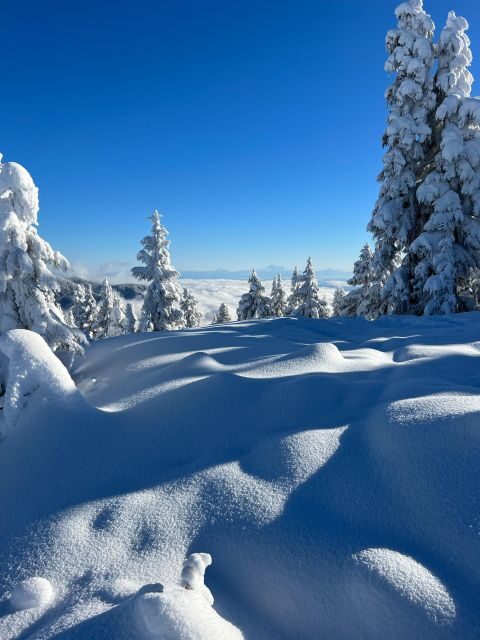 Vancouver: North Shore Mountains Snowshoeing with Transfer - Final Thoughts: Is It Worth It?