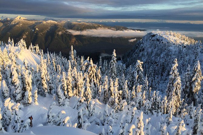 Vancouver Panoramic View Hike - The Itinerary: From City to Snowy Heights