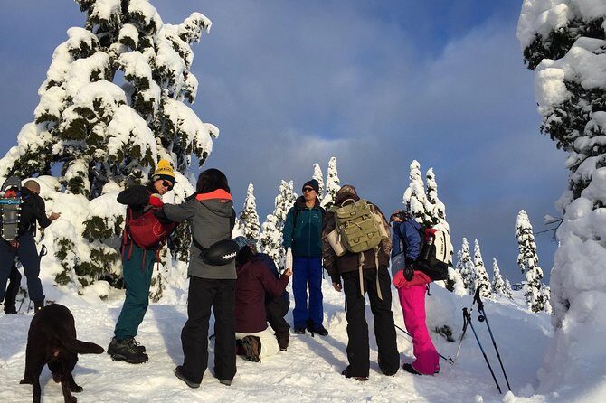 Vancouver Panoramic View Hike - Practical Details and What to Expect