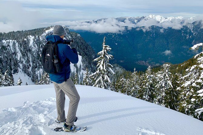 Vancouver Panoramic View Hike - Who Should Consider This Tour?