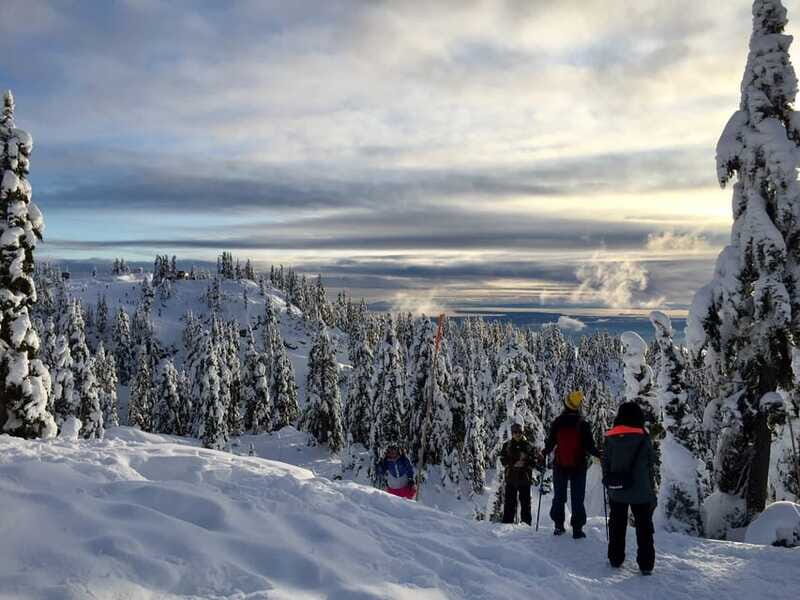 Vancouver: Panoramic View Hiking Tour - Valuable Insights from Reviews