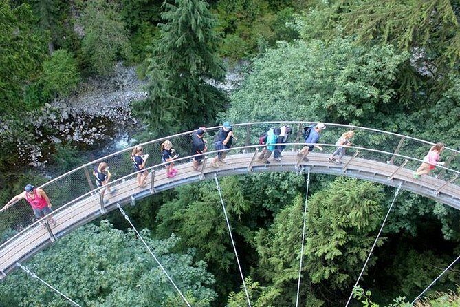 Vancouver Perfect Day Tour Grouse Mountain`& Capilano Suspention Bridge Private - Who Will Love This Tour?