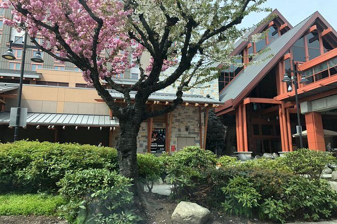 Vancouver Perfect Day Tour Grouse Mountain`& Capilano Suspention Bridge Private - Final Thoughts: Is it Worth It?