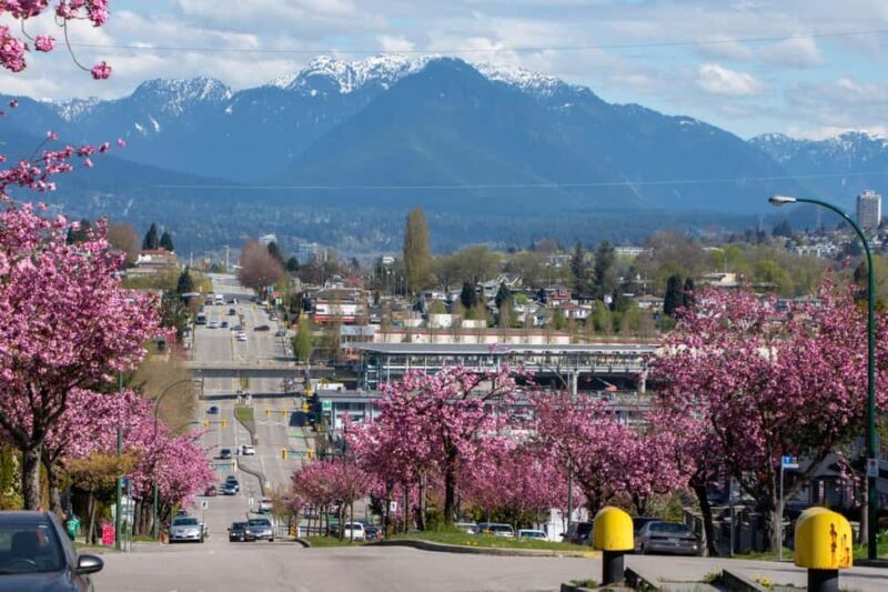 Vancouver: Private City Walking Tour with Seal Boat Tour - Discover Vancouver: A Private City Walking and Seal Boat Tour