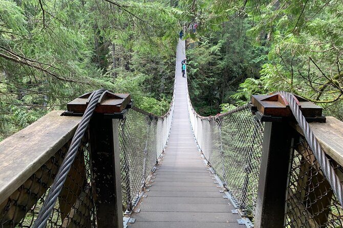 Vancouver Rainforest Hike with Waterfalls, Suspension Bridge, Old Growth Forest - Introduction: An Accessible Nature Escape Near Vancouver