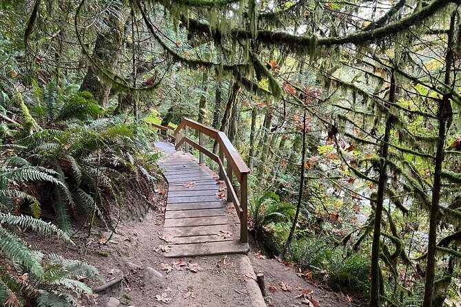 Vancouver Rainforest Hike with Waterfalls, Suspension Bridge, Old Growth Forest - FAQs