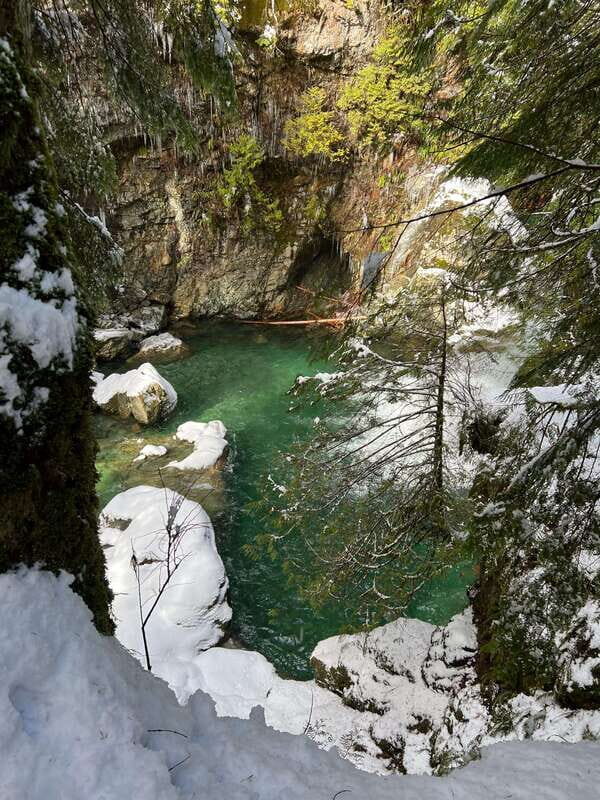 Vancouver: Rainforest Waterfall Hike and Suspension Bridge - Who Should Consider This Tour?