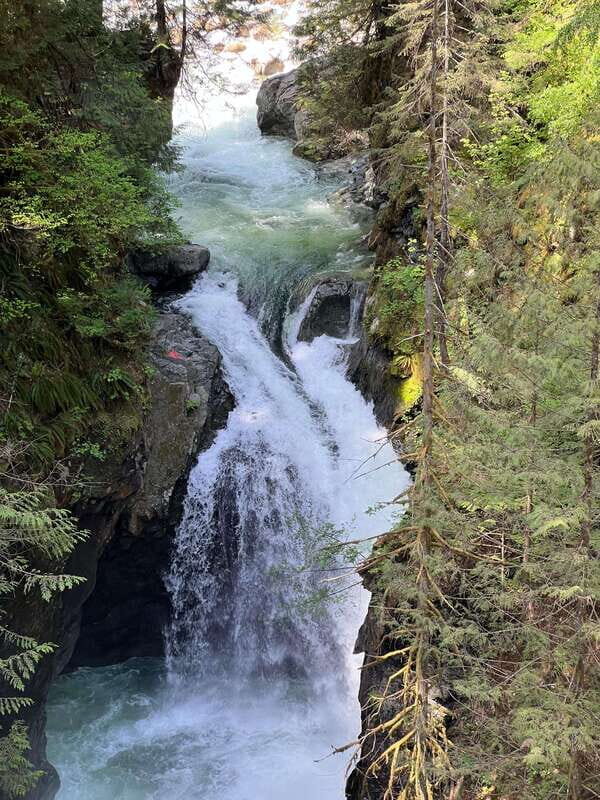 Vancouver: Rainforest Waterfall Hike and Suspension Bridge - Final Thoughts on Value