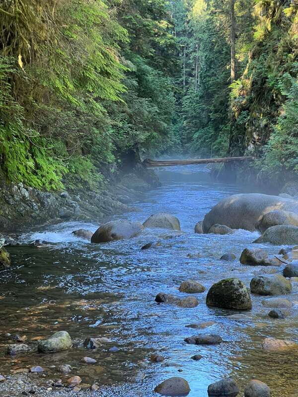 Vancouver: Rainforest Waterfall Hike and Suspension Bridge - In Summary