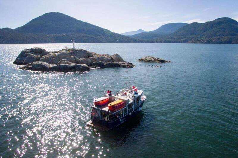 Vancouver: Scuba Boat Dive in Horseshoe Bay - The Sum Up