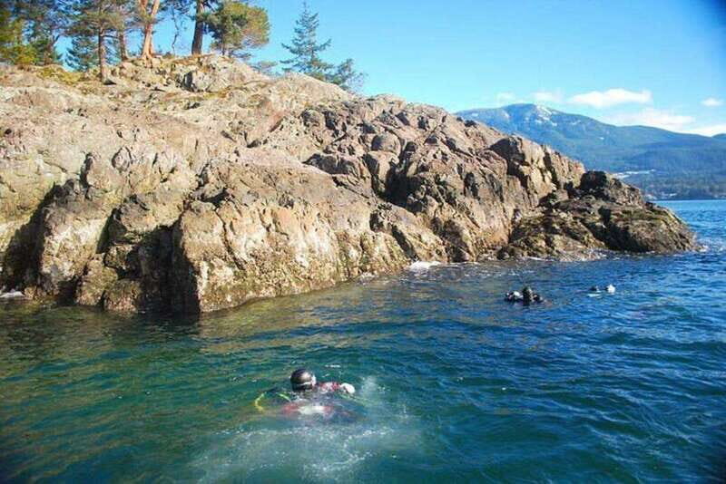 Vancouver: Scuba Boat Dive in Horseshoe Bay - FAQ
