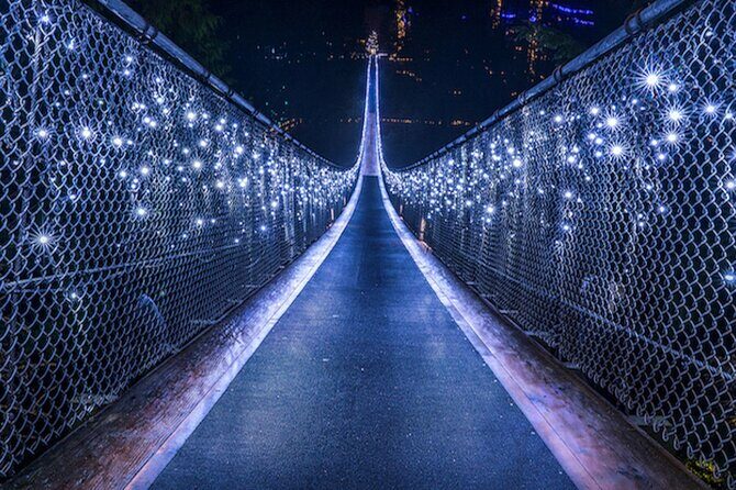 Vancouver Small Group Night Tour w/Capilano + Grouse Mtn Dinner - Who Will Love This Tour?