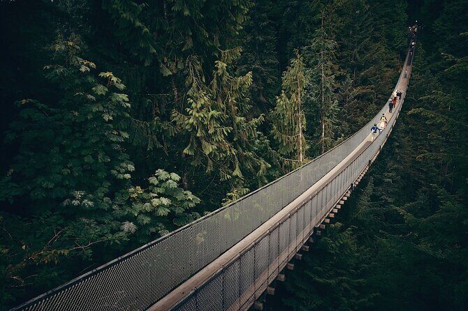 Vancouver Small Group Night Tour w/Capilano + Grouse Mtn Dinner - The Sum Up