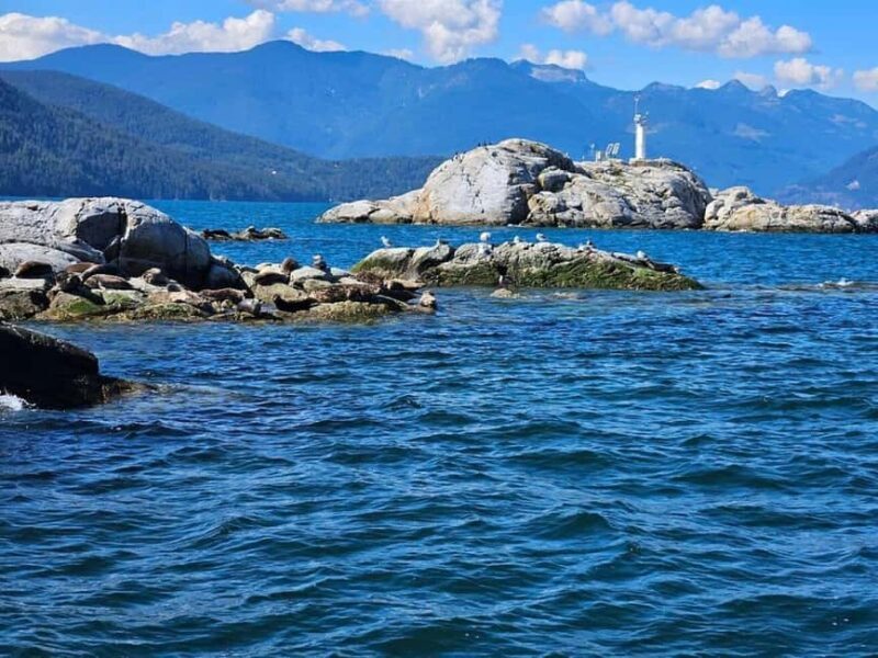 Vancouver: Snorkel, Kayak, and Seal Adventure Boat Tour - Vancouver: Snorkel, Kayak, and Seal Adventure Boat Tour — A Full Breakdown
