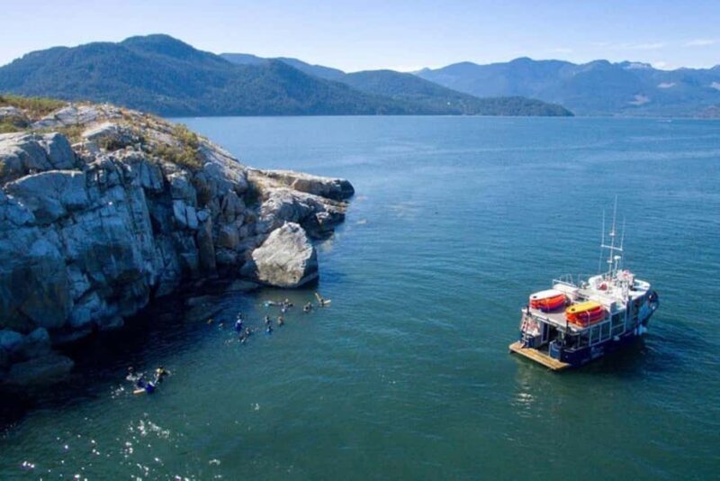 Vancouver: Snorkel, Kayak, and Seal Adventure Boat Tour - FAQ