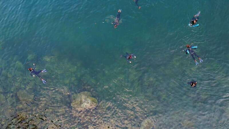 Vancouver: Snorkeling Seals Kayaking Scenic Boat Tour - Who Should Consider This Tour