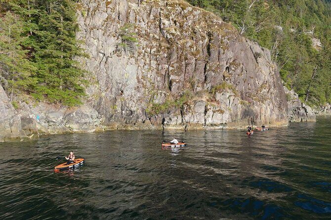 Vancouver: Snorkeling Seals Kayaking Scenic Boat Tour - Value in Context