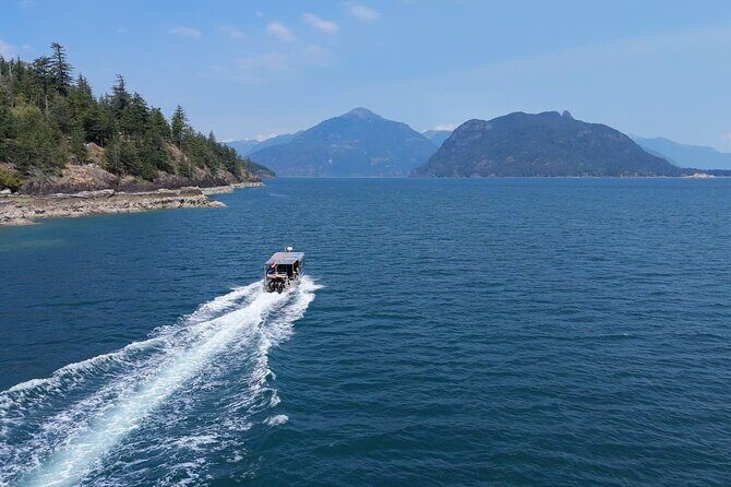 Vancouver: Snorkeling Seals Kayaking Scenic Boat Tour - What Travelers Are Saying