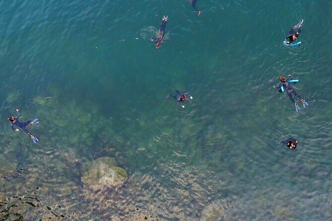 Vancouver: Snorkeling Seals Kayaking Scenic Boat Tour - Cancellation and Weather Policy
