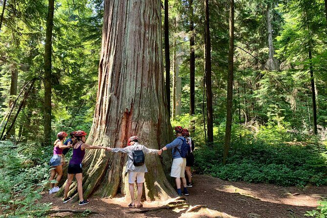 Vancouver Stanley Park 3 Hour Bike Tour - Setting the Scene: A Tour That Balances Beauty and History