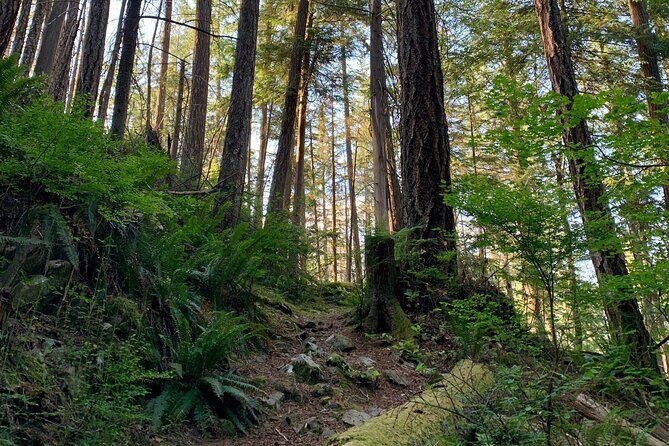 Vancouver Stanley Park 3 Hour Bike Tour - The Real Value of the Tour