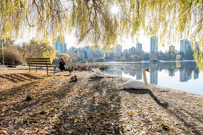 Vancouver Stanley Park 3 Hour Bike Tour - Final Thoughts