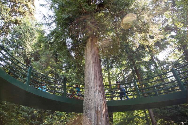 Vancouver: Stanley Park Bicycle Tour - The guides: the heart of the experience
