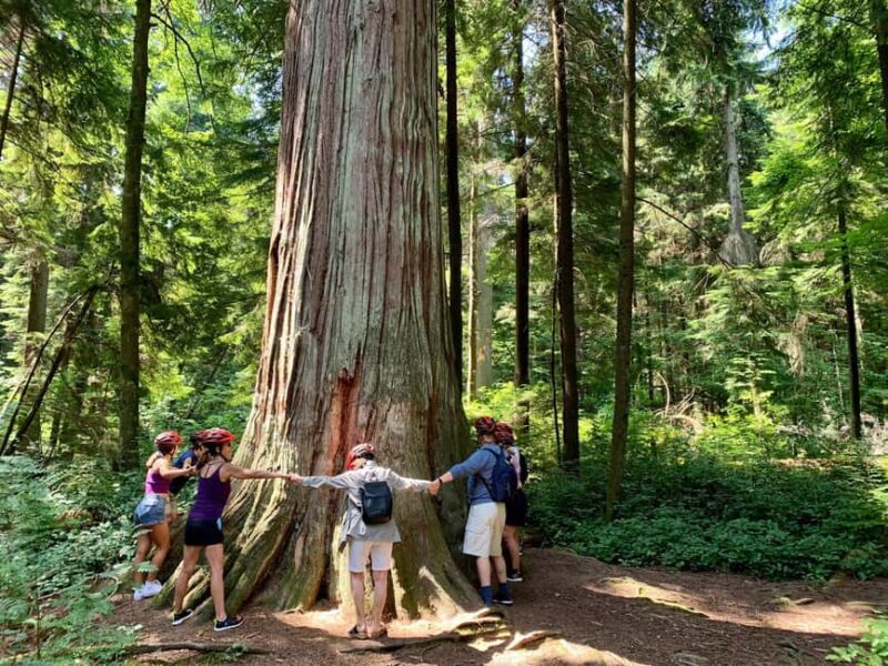 Vancouver: Stanley Park Bike Tour | E-Bike Upgrade Avail. - The Sum Up: Is the Stanley Park Bike Tour Worth It?
