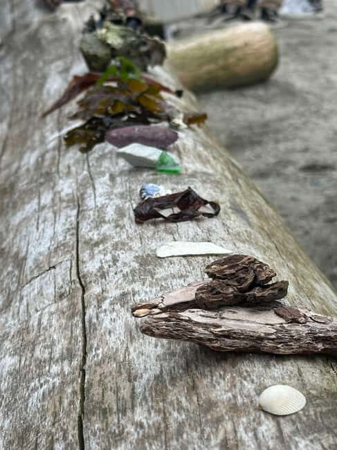 Vancouver: Stanley Park Salish Sea & Me - Exploring the Experience in Detail