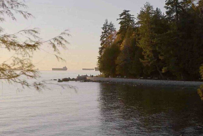 Vancouver Sunset and City Lights Trolley Tour - Final Thoughts: Who Should Consider This Tour?