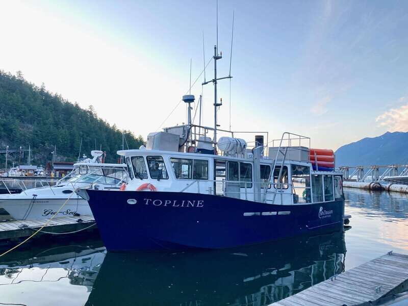 Vancouver: Sunset Boat Cruise with Complementary Bubbly - The Highlights That Make This Cruise Special