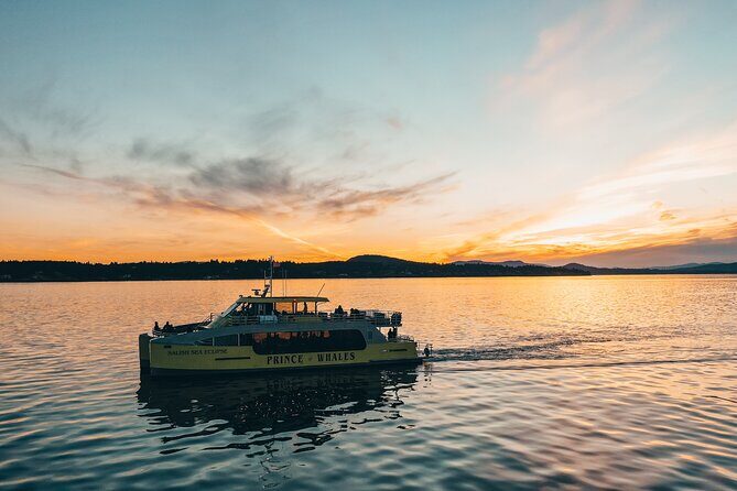 Vancouver Sunset Whale Watching Adventure with Free Photos - Exploring Vancouver’s Salish Sea in Style