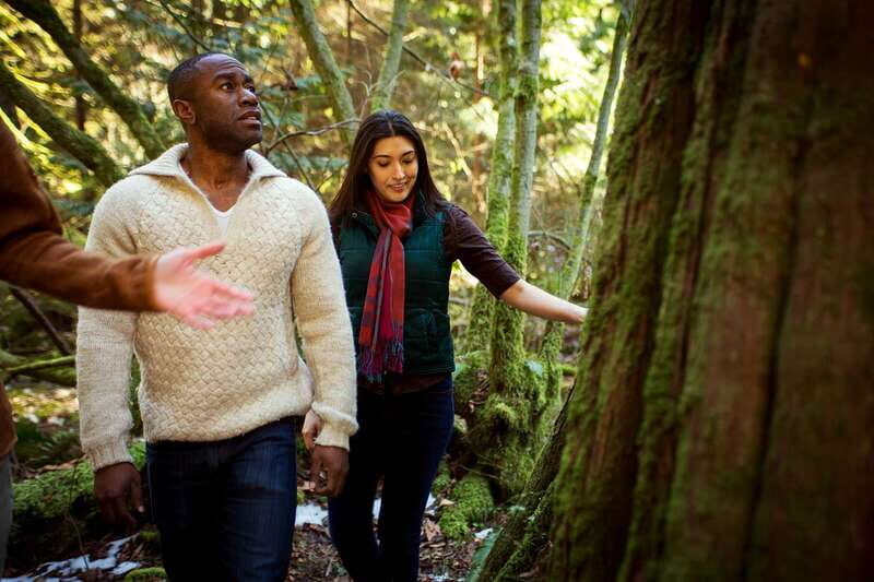Vancouver: The Dark Secrets of Stanley Park Tour - Totem Poles and the Seawall — Iconic yet Rich in Context