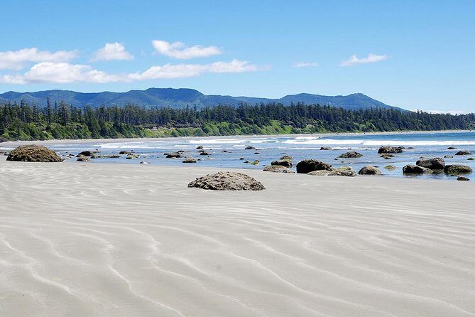 Vancouver to Tofino 2 Day Tour Private - Who Is This Tour Best For?