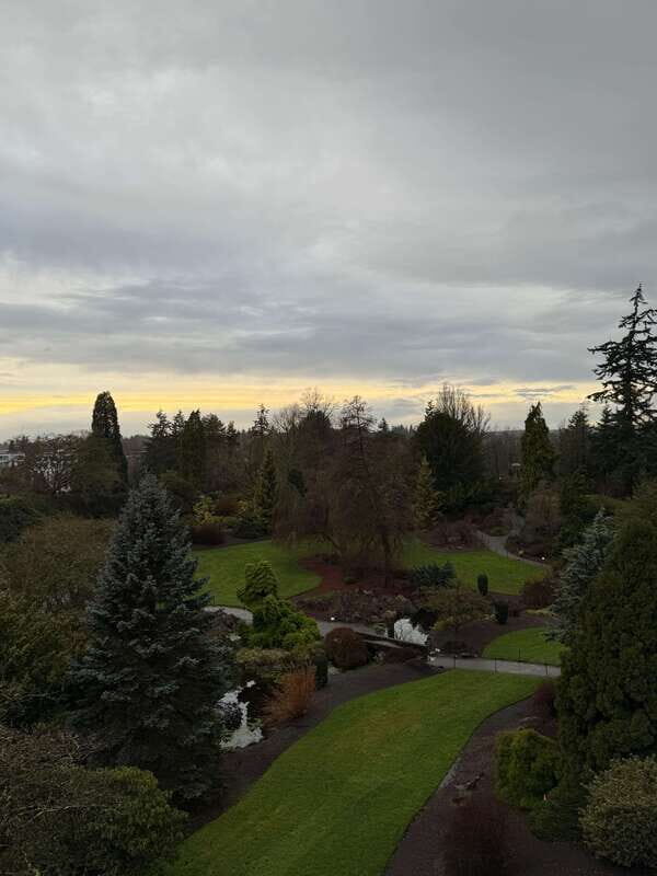 Vancouver Tour/Car/Grandville Island/Queen Elizabeth/China T - An In-Depth Look at the Vancouver Tour Experience
