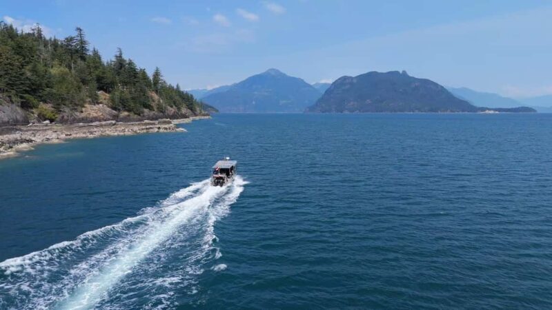 Vancouver UNESCO Biosphere Reserve Wildlife Scenic Boat Tour - Final Thoughts