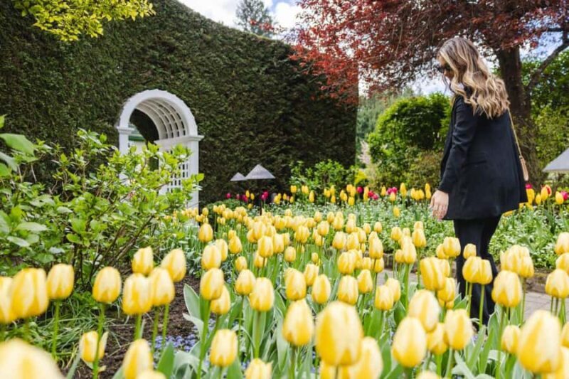 Vancouver: Victoria Day Trip by Seaplane & Butchart Gardens - The Sum Up: Who Should Consider This Tour?