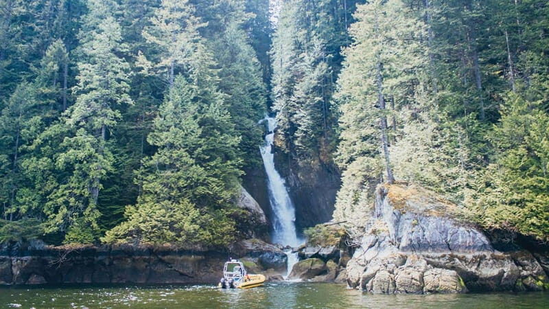 Vancouver: Waterfront Sightseeing Tour - City and Waterfall - Final Thoughts